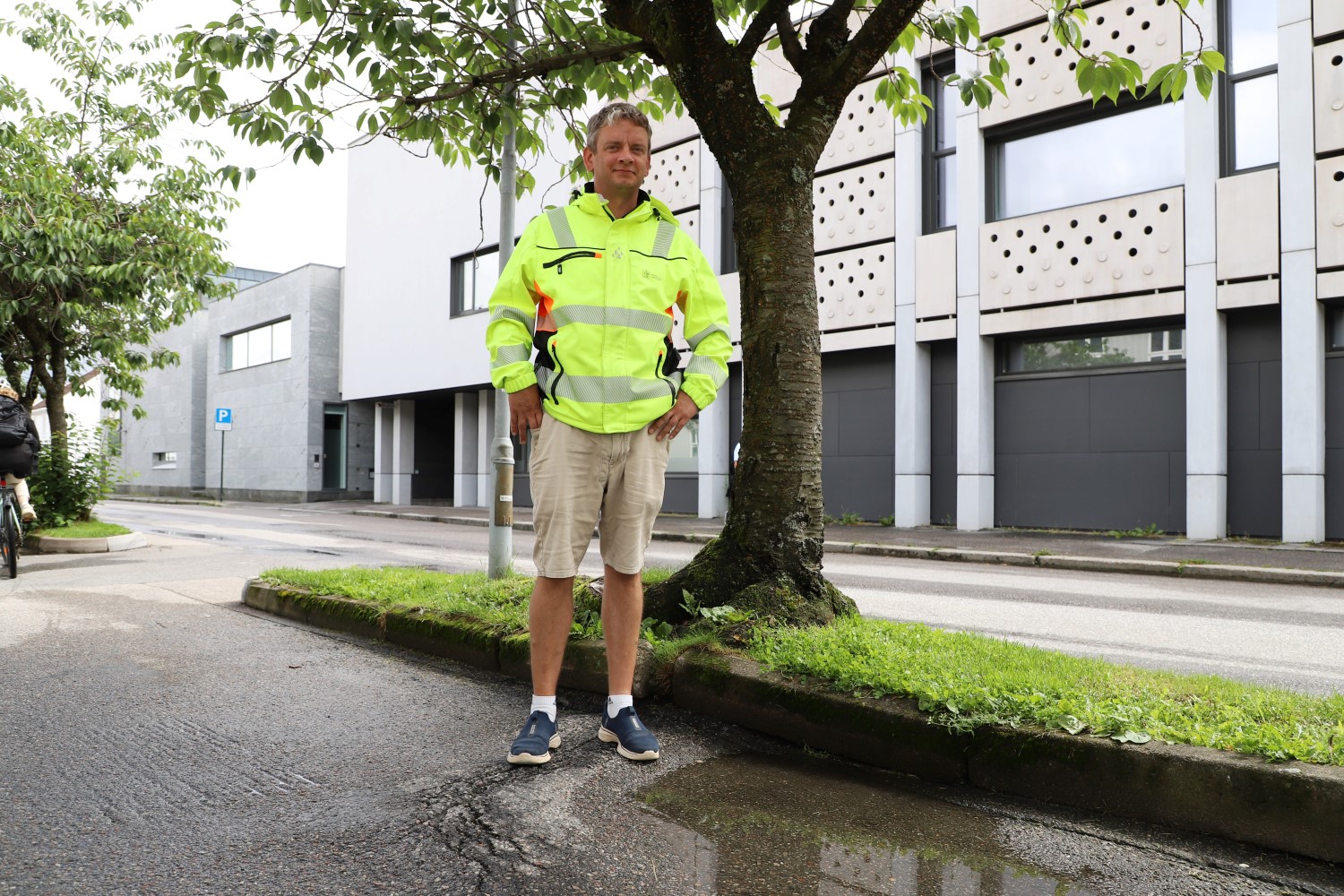 Kristiansand kommune - Kirsebærtrærne får nytt liv